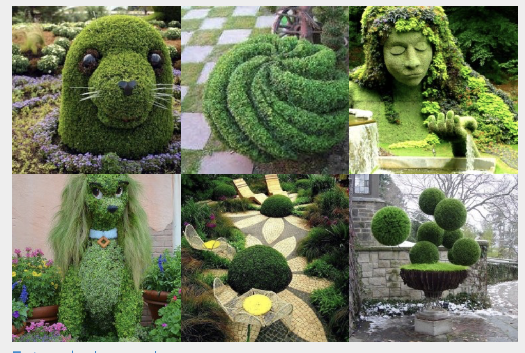MEGA schöne Formen für euren Buchsbaum :) - nettetipps.de